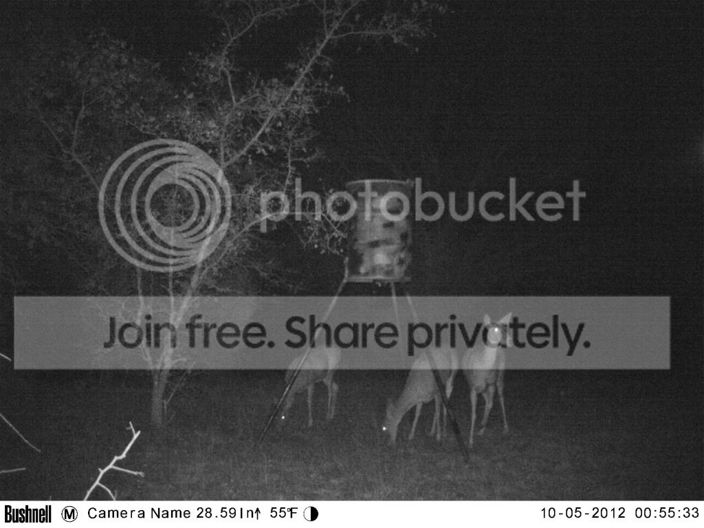 Need Bushnell Trail Camera Help! | Archery Talk Forum